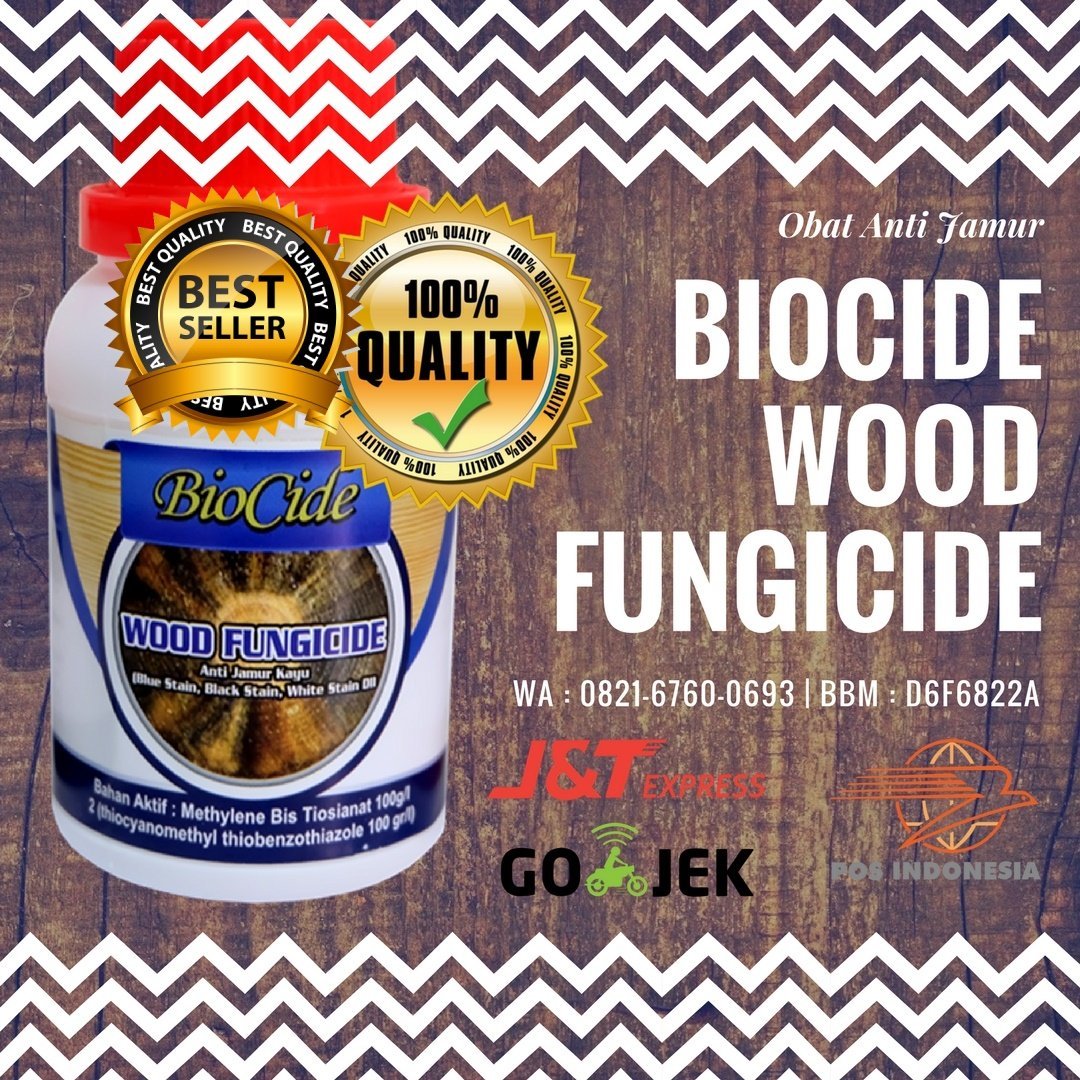 Hilangkanlah Jamur Kayu Pada Log Atau Sawn Timber Dengan Obat Ini ...